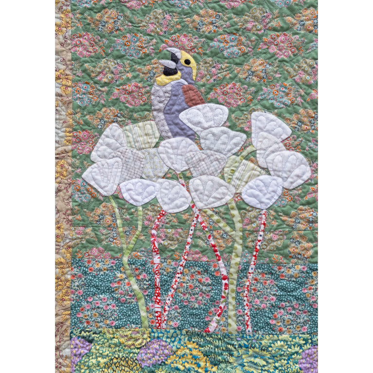 Steve's Birds BOM Complete Set of Digital Patterns – Piece O' Cake Designs